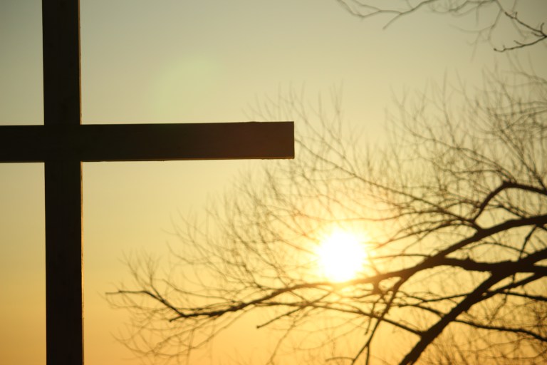 The Beauty of the Cross – Heidi Viars