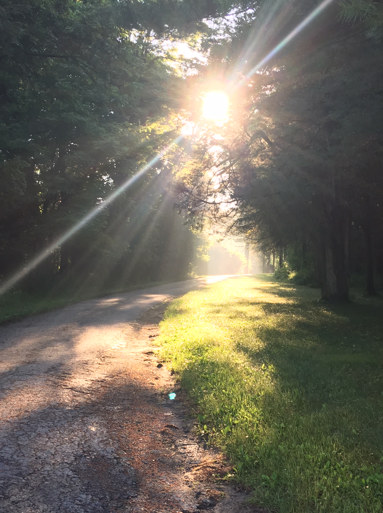 Man – The Dwelling Place of God (Sunday Quote) – Heidi Viars