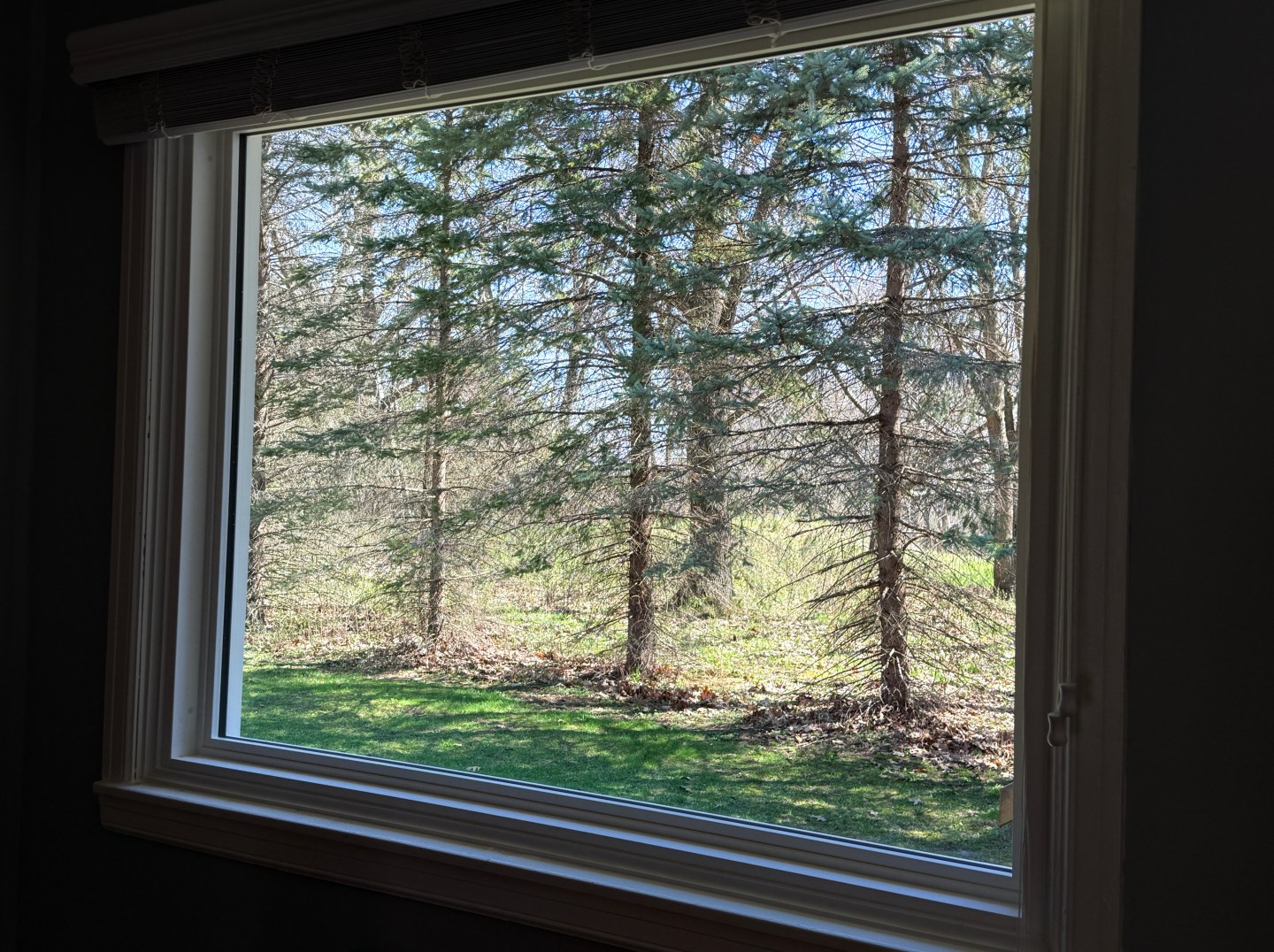 Today, I Washed Windows – Again – Heidi Viars